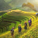 Shared 2 days and 1 night Sapa Trekking Adventure - Who Would Love This Experience?