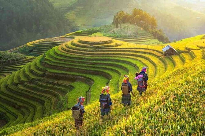 Shared 2 days and 1 night Sapa Trekking Adventure - Who Would Love This Experience?