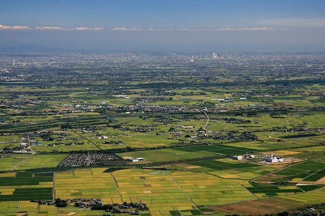 Shared Arrival Transfer : Chubu Nagoya Airport to Nagoya City - An In-Depth Look at the Transfer Experience