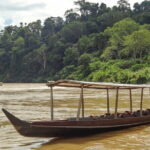 Shared Full Day Taman Negara Trekking Tour - The Itinerary in Detail