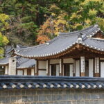 Shared Pyeongchang Tour with Samyang - The Full Story: Breaking Down the Experience