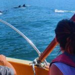 Shared Sailing Adventure Explore Puerto Vallarta by Sea - The Itinerary in Detail: What to Expect