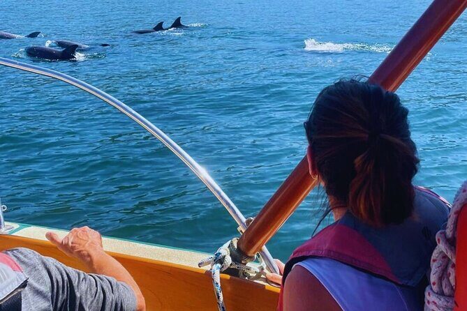 Shared Sailing Adventure Explore Puerto Vallarta by Sea - The Itinerary in Detail: What to Expect