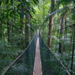 Shared Taman Negara Nature Tour with Lata Berkoh Falls - Who Will Love This Tour?