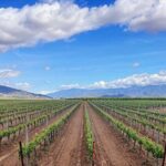 Shared Temecula Wine Tour from in the Valley (near the wineries) - What to Expect from This Temecula Wine Tour