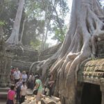 Shared Tour to Angkor Wat, Bayon and Ta Prohm Temples - Summary: Who Is This Tour Perfect For?