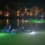 Sharkey's Glass Bottom Fish Feeding LED Night Tour in Venice, FL - Who Should Consider This Tour?