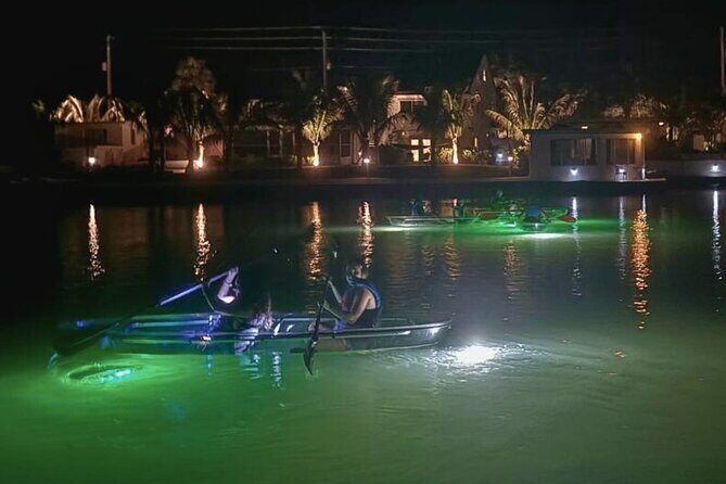 Sharkey's Glass Bottom Fish Feeding LED Night Tour in Venice, FL - Who Should Consider This Tour?