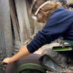 Sharpening your Knife at A Sharpener's Factory in Osaka - The Experience Begins: From Arrival to Engagement