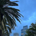 Shenzhen Private Customized Shopping Tour - Practical Details