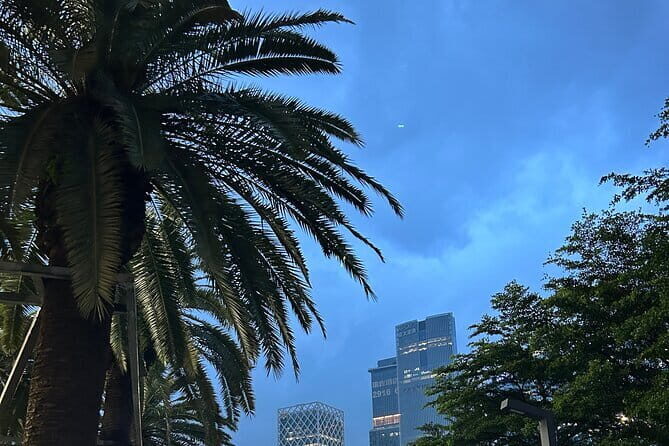 Shenzhen Private Customized Shopping Tour - Practical Details