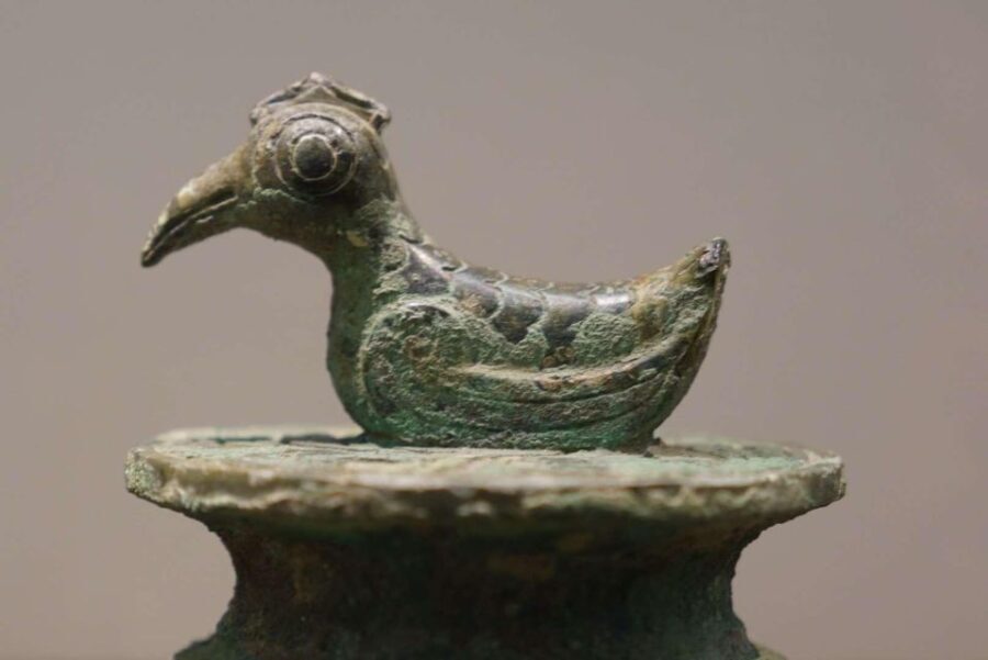 Shenzhen Private Day Trip - Final Thoughts: Is It Worth It?