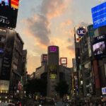 Shibuya and Harajuku Highlights Walking Tour - Practical Details and What You Should Know
