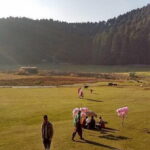 Shimla Queen Of Hills Tour Package 3 Days By Car - Day 2: Kufri and Mall Road – Highlights of Shimla
