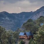 Shimla Treehouse Stay - Authenticity and Real Experiences