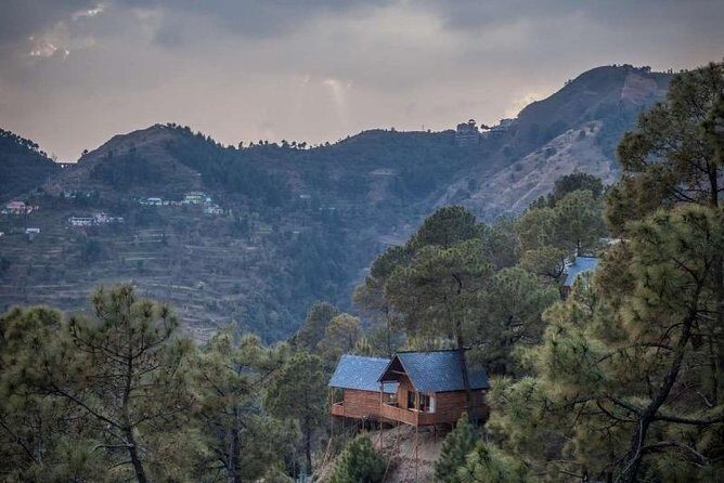 Shimla Treehouse Stay - Authenticity and Real Experiences