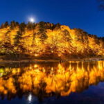 Shin-Toyota: Korankei/Obara Bus Tour with Persimmon Tasting - The Sum Up