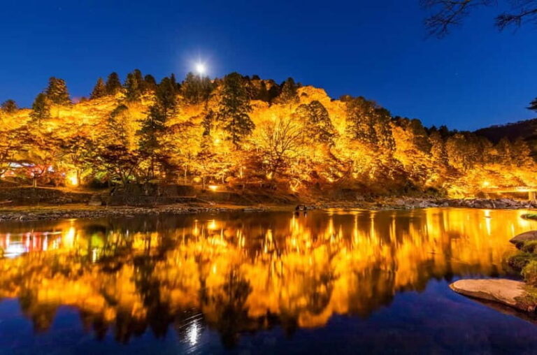 Shin-Toyota: Korankei/Obara Bus Tour with Persimmon Tasting - The Sum Up