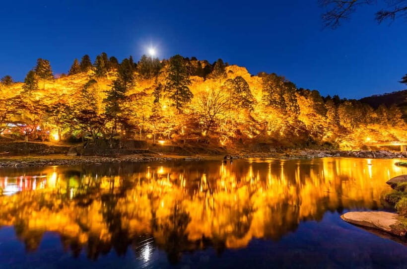 Shin-Toyota: Korankei/Obara Bus Tour with Persimmon Tasting - The Sum Up