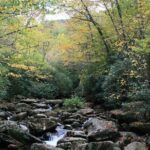 Shining Rock Guided Tour - Who Will Love This Tour?