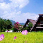 Shiragawa-go, Hida Takayama UNESCO Full-Day Tour from Nagoya - Food and Drinks: An Optional but Important Element