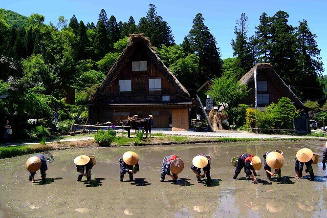 Shirakawa-go from Takayama/Nagoya One day Bus ticket - Stunning Views and Photo Opportunities