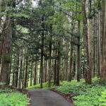 Shirakawago Gujo Hachiman & Hida Takayama Day tour from Nagoya - Why You’ll Love Each Stop