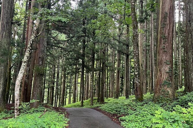 Shirakawago Gujo Hachiman & Hida Takayama Day tour from Nagoya - Why You’ll Love Each Stop