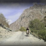 Shirkent Park, Dinosaur Tracking, One-Day tour - Authenticity and Comfort