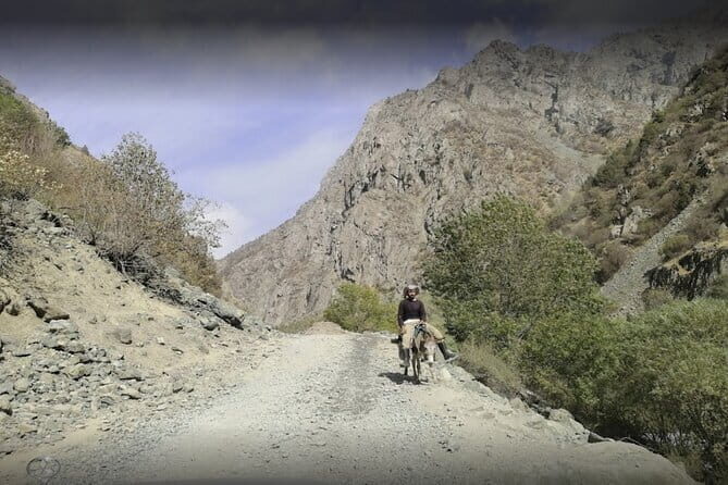 Shirkent Park, Dinosaur Tracking, One-Day tour - Authenticity and Comfort