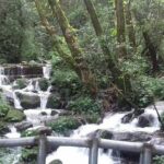 Shivapuri Hill Day Tour - The Sum Up