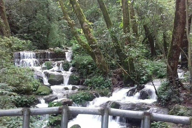 Shivapuri Hill Day Tour - The Sum Up