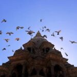 Shivapuri Nagi Gumba Hiking - What Makes This Tour Valuable?