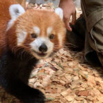 Shizuoka: Atagawa Tropical & Alligator Garden Entrance - Who Will Love This Tour?