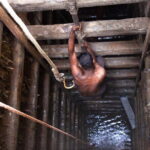 Shore Excursion Colombo Port Passenger Jetty to Galle and back - Final Thoughts: Is It Worth It?