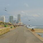 Shore Excursion Colombo Port Private small group - An In-Depth Look at the Tour Experience