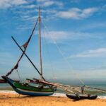 Shore Excursion Colombo Port to Mount Lavinia Beach & Colombo city For 7 -12 Pax - Who Will Love This Tour?