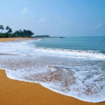 Shore Excursion from Colombo port to Negombo Beach & back for 7 to12 People - Wetlands Bird Watching and Cultural Insight