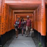 Shore excursion: Full Day Private Kyoto Tour From Osaka/Kobe Port - What You’ll Value in This Tour