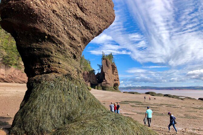 Shore Excursion to Hopewell Rocks and Fundy National Park - Final Thoughts