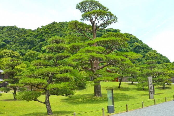 Shore Excursion Tour from Kagoshima Port - Practical Considerations and what it all means for you