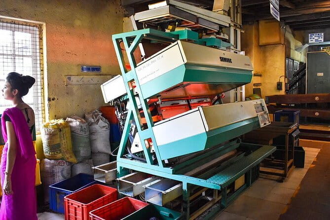 Shore Excursions Colombo Port Passenger Terminal to Kandy By Car. - Analyzing the Value