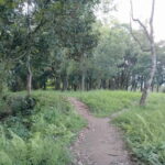 Short and Sweet: 3-Hour Hike with Views from Pokhara - The Experience in Context: Why It’s Worth Considering