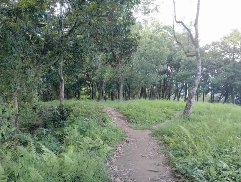 Short and Sweet: 3-Hour Hike with Views from Pokhara - The Experience in Context: Why It’s Worth Considering