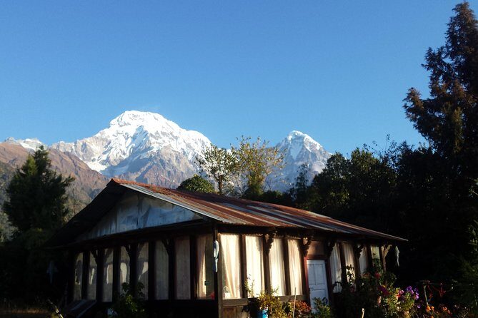 Short Trekking in Pokhara 2 Nights on mountain - Transportation & Logistics