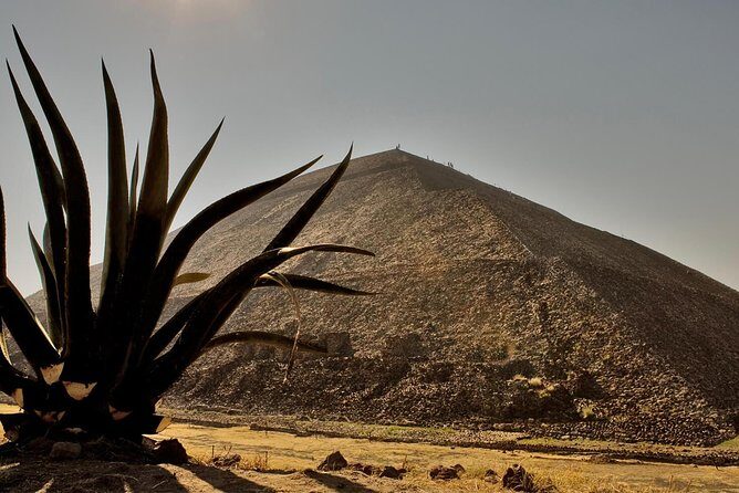 Shrine of Guadalupe and Teotihuacan Private & Small groups - A Deep Dive into the Experience