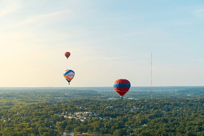 Shuttle Service to Forest Park Balloon Glow - Detailed Breakdown of the Itinerary