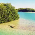 Sian Kaan Reserve Private Bike Tour - Detailed Breakdown of the Itinerary