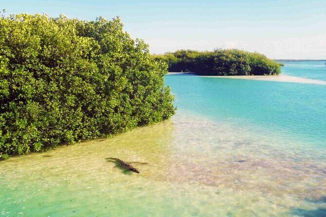 Sian Kaan Reserve Private Bike Tour - Detailed Breakdown of the Itinerary