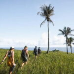 Siargao: Corregidor Islands + Tri Island Hidden Gems Tour - Who Will Love This Tour?